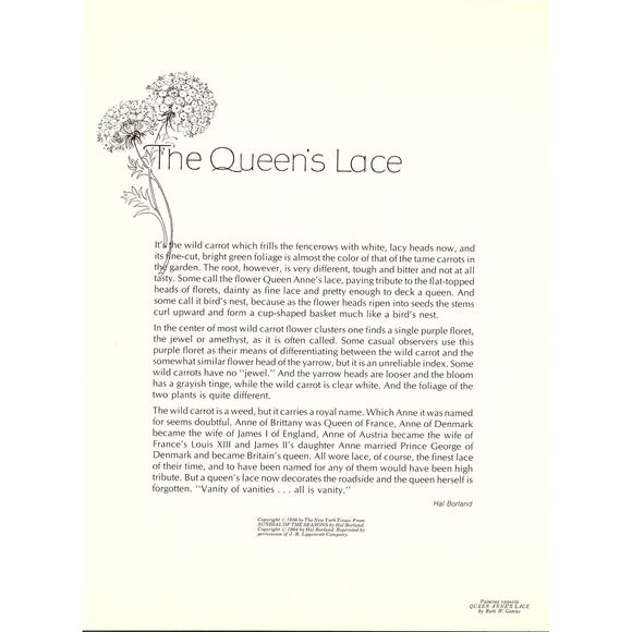 None and/or Unknown | Other | The Queens Lace Hal Borland 97s Poem ...